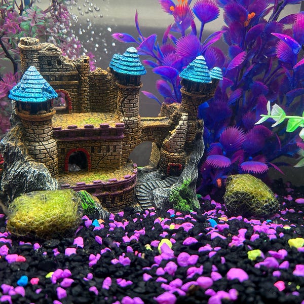 Black Lava Rock for Aquariums Aquascape Terrarium Bonsai Decor Moss ...