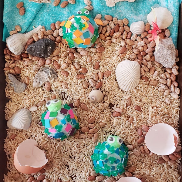 Charlotte Mason Inspired Homeschool Curriculum, Bird Nature Study ...