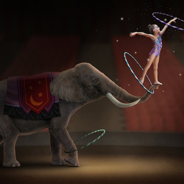 Circus Ring With Elephant Digital Backdrop for Photography Composites ...