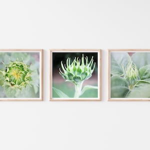 Three Square Frame Mockup, Three Frames Mockup, 3 Square Frames, Three ...