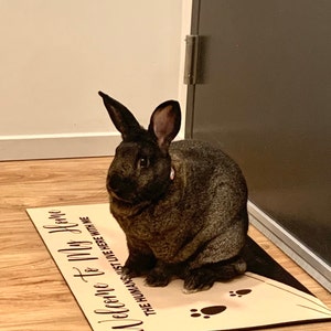 Welcome to the Rabbit House Doormat Bunny Welcome Doormat - Etsy