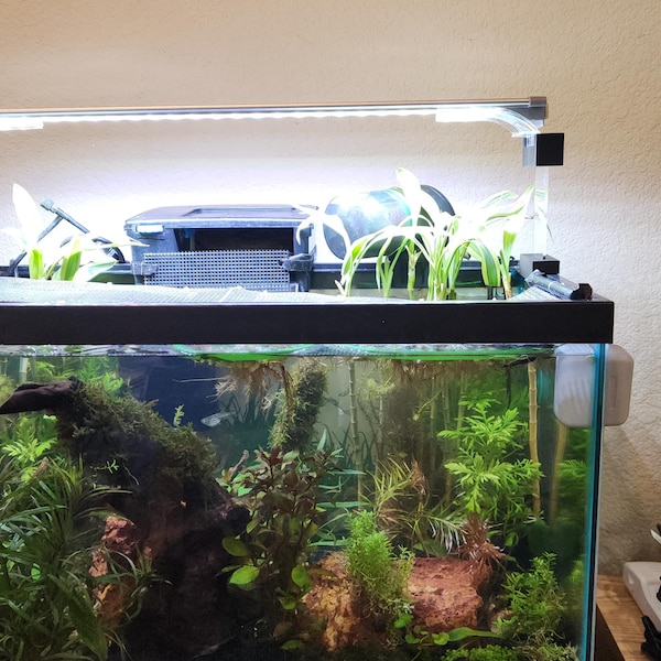 Finnex Stingray Original LED Light Riser, Attractive Stable Elevated ...