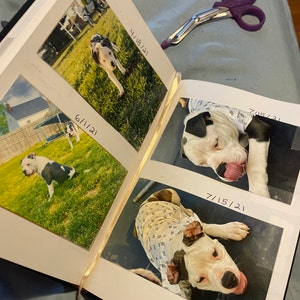 Puppy Journal : A Guided Journal to Document the First Year With Your ...