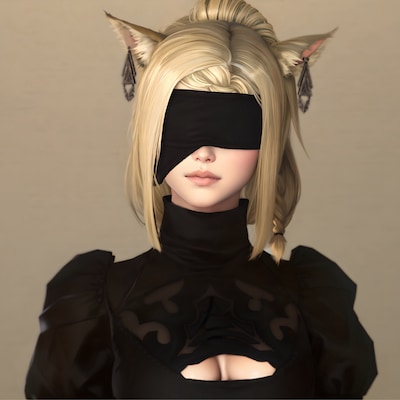 Final Fantasy XIV Static Portrait Commission - Etsy