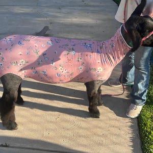 Aztec Western Lamb Leg Tubes - Etsy