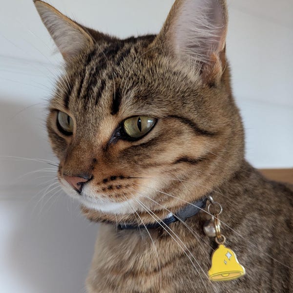 Enamel Pins - Cheeky Taco Funny Food Enamel Pin - Etsy