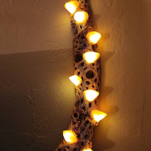 Handmade Blue Wall Hanging Cholla LED Mushroom Lamp 13-15 Tall - Etsy
