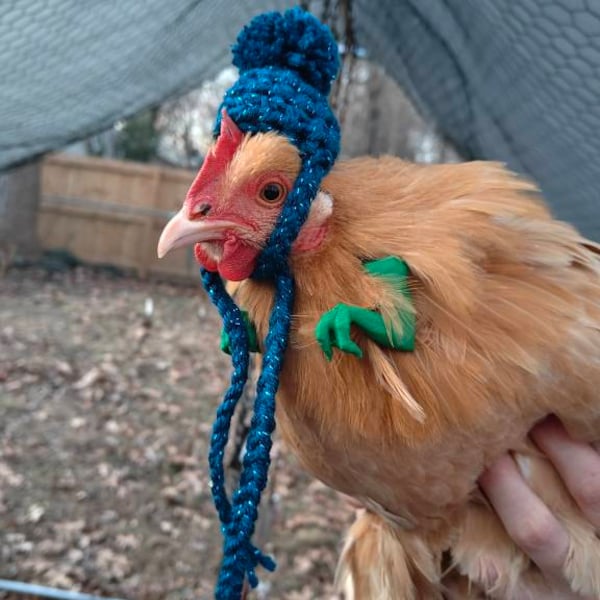 3D Printed Chicken Arms Velociraptor T-rex Dinosaur Arms - Various ...