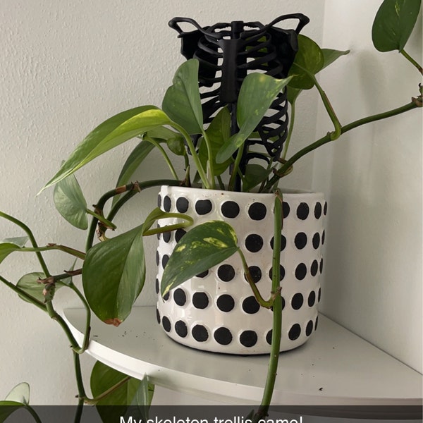 Houseplant Trellis|skeleton|rib Cage|plant Art|indoor Garden Decor|for ...