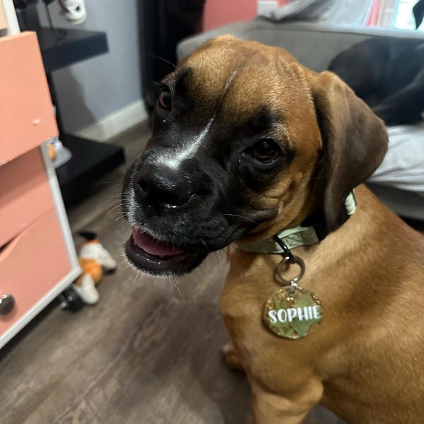 Matching Dog Tags and Keychain | Custom Dog Tag | Resin Dog Tag ...