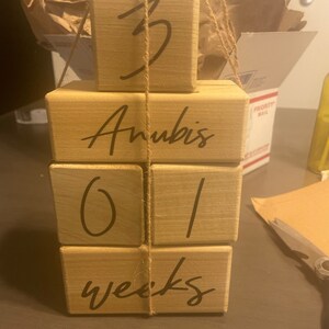 Newborn Birth Stat Blocks Custom Baby Keepsake Personalized - Etsy