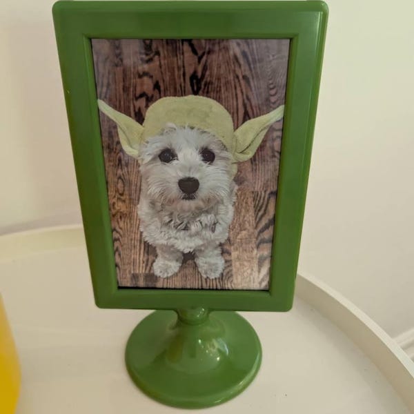 Green Retro Style Frame. the Space Age Design Inspired IKEA Tolsby ...
