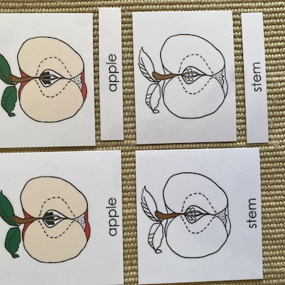 Flags of the World blackline Masters Bundle Geography Printable ...