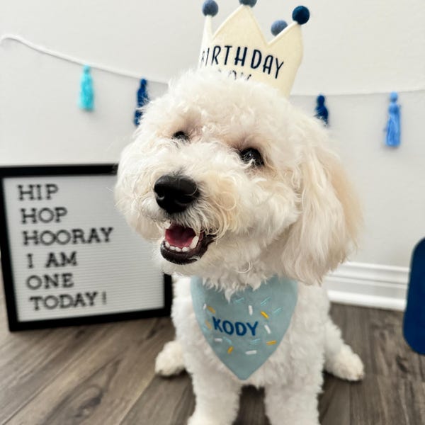 Personalized Dog Bandana Birthday Girl Bandanna for 1st Birthday ...