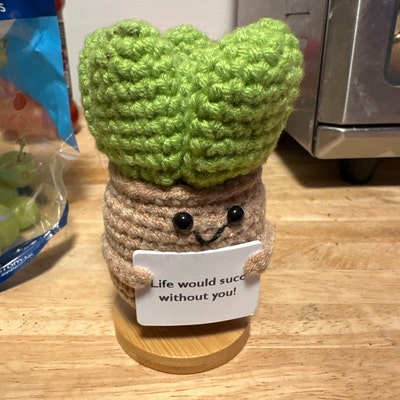 Positive Pickle,emotional Support Pickle,big Fan Pickle,handmade ...