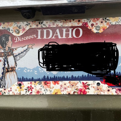 Ditsy Floral on Sage License Plate Frame Car Accessories Flowers ...