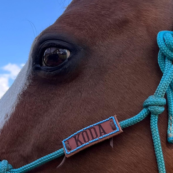 Custom Leather Horse Halter Name Plate Halter Name Tag Laser Engraved ...