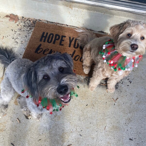 Goldendoodle Pumpkin Stencil, Printable Pumpkin Carving Stencil, Doodle ...
