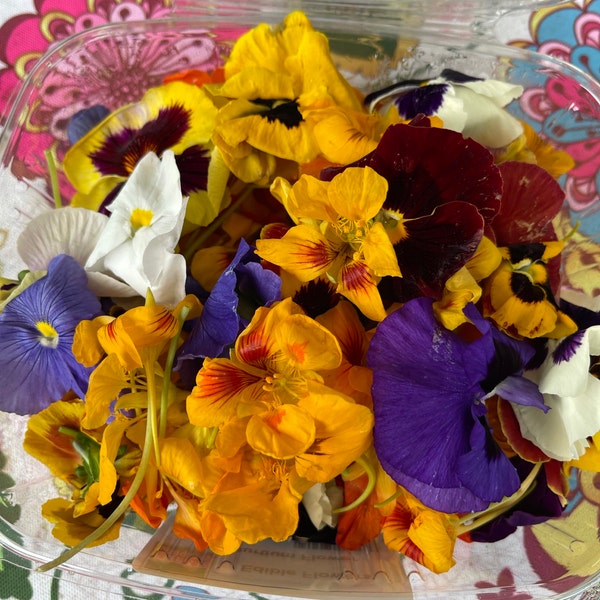 Fresh Edible Flowers Viola 50 Ct - Etsy