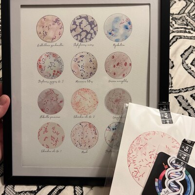 Microbe Collection, Bacteria, Bacteria Art, Science, Science Art ...