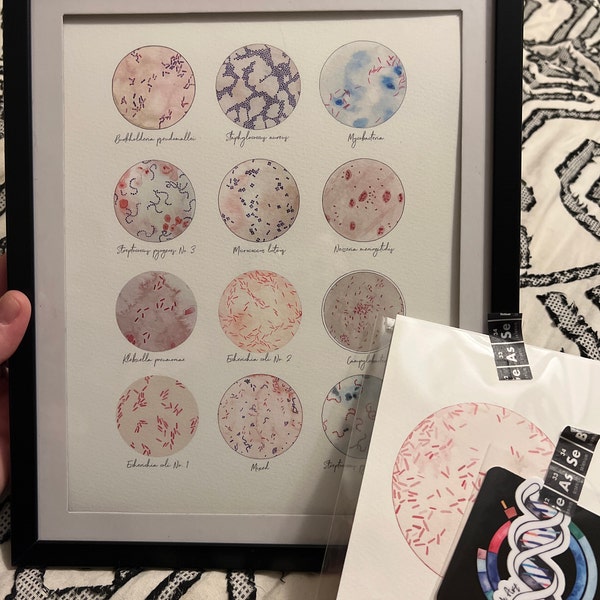 Microbe Collection, Bacteria, Bacteria Art, Science, Science Art ...