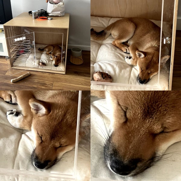 Pet Name Signboard for Dog/cat House. - Etsy