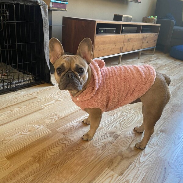 Frenchie Clothes, Frenchie Bulldog Clothes and Sweater - Etsy