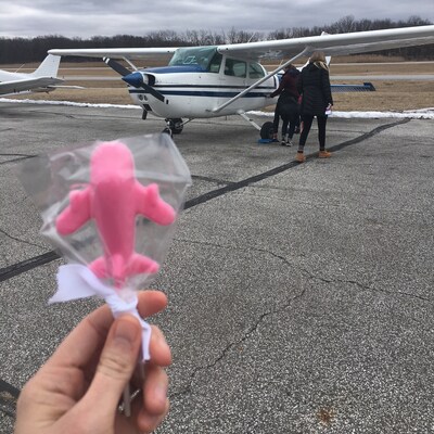 12 Chocolate Airplane Jet Plane Lollipops Birthday Party Favors Sweets ...