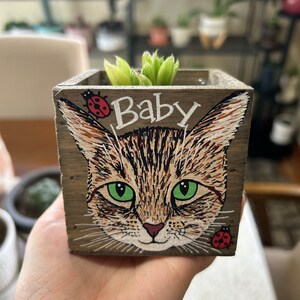 Small Cat Planters, Set of 3 Wood Succulent Boxes, Black Cat, Home ...