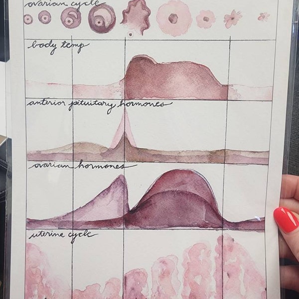 Menses Cycle Watercolor Art Print - Menstrual Chart - Menstrual Cycle ...