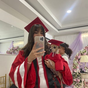 Princess Peach Dog Costume, Mario Kart Costume, Halloween Dog Costume ...