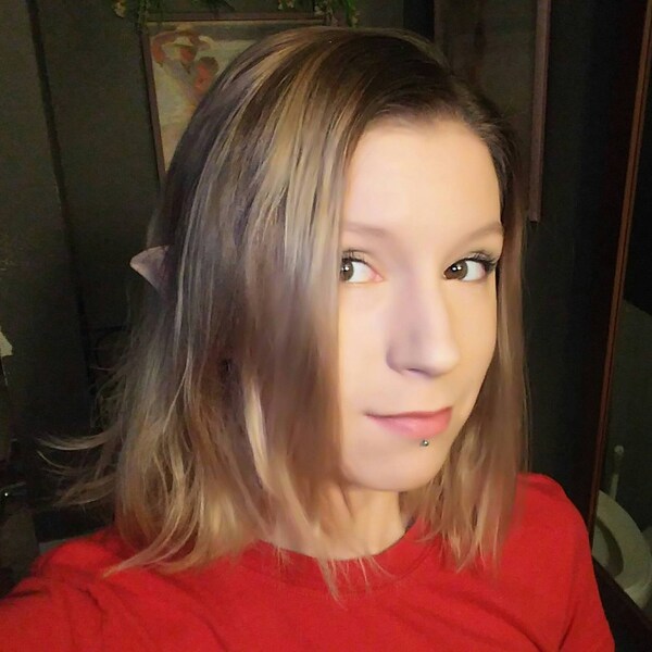 Custom Painted Elf Ears for Hobbit Pixie Dalish Fairy Costumes and ...