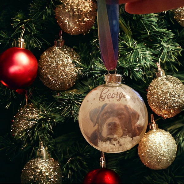 Cat Wheelie Bin Sticker Permanent Outdoor Transfer - Etsy