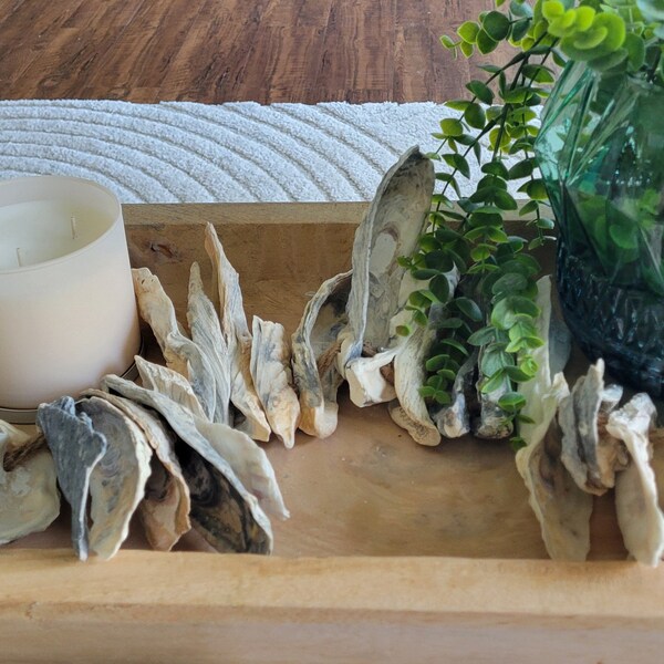 Oyster Shell Table Runner or Hanging Wall Decor. - Etsy
