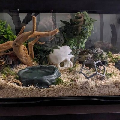 Aquarium / Terrarium Background / Rocky With Plants - Etsy