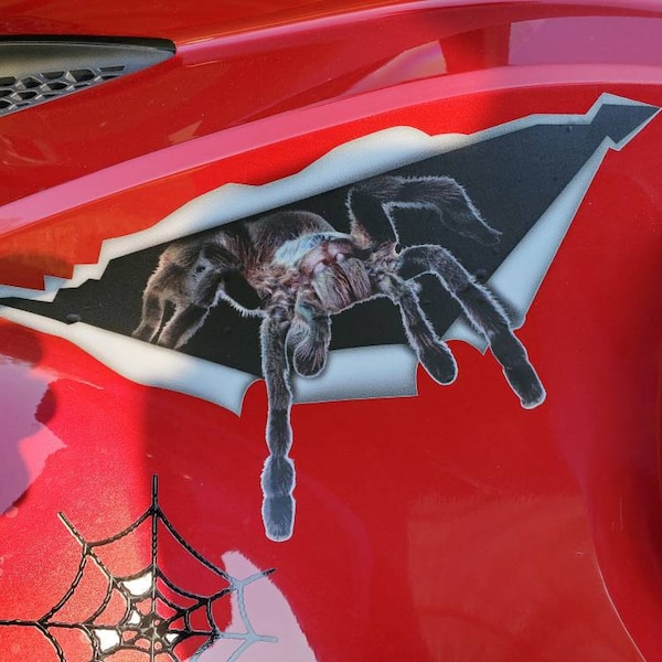 Spider Car Decal, Spider Magnet, Funny Car Decal, Spider Sticker , Car ...