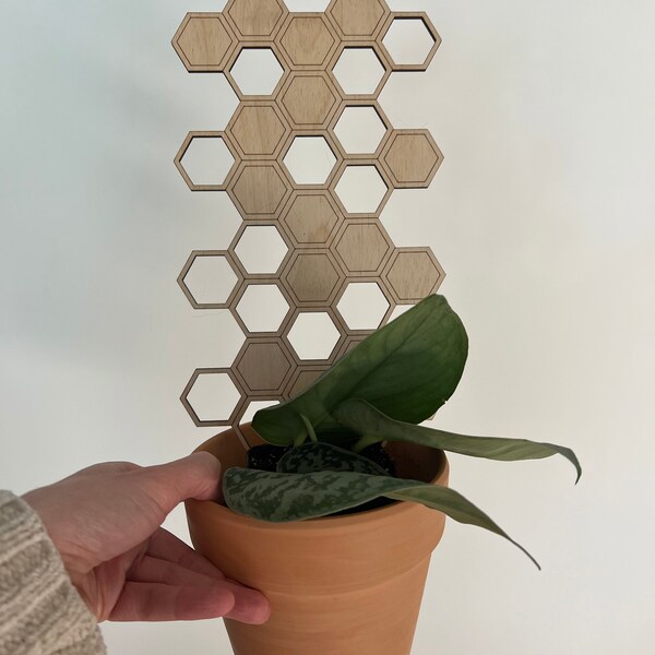 DNA Houseplant Trellis Simple Double Helix Lasercut Wooden Trellis ...