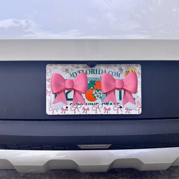Coquette Colorful Floral Metal License Plate Frame - Etsy