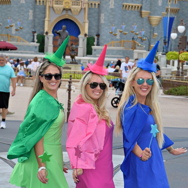 Disney Fairy Hat, Fairy Headband, Sleeping Beauty, Flora Fauna and ...