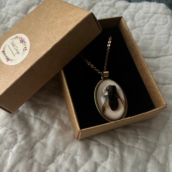 Real Preserved Honeybee in Amber Color Necklace, Bug Pendant, Real Bee ...