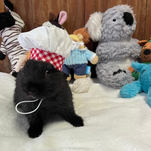 Checkered Chef Hat for Small to Medium Pet - Etsy