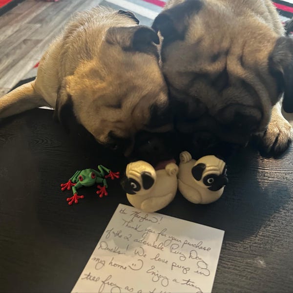 The Fabulous Pug Dog Duck - Etsy