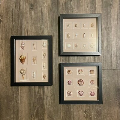 Off Center Custom Matboard Where You Specify Both the Exterior and ...