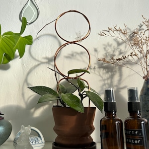 Plant Propagation Side Car Plant Buddy Test Tube Prop Station - Etsy