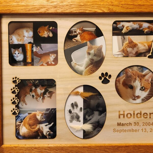 11x14 Cat Photo Frame, Cat Memorial, Cat Decor, Crazy Cat Lady Gifts ...