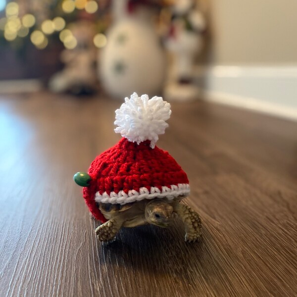 Tortoise Sweaters-target Pattern, Turtle Costume, Pet Costume, Cute ...