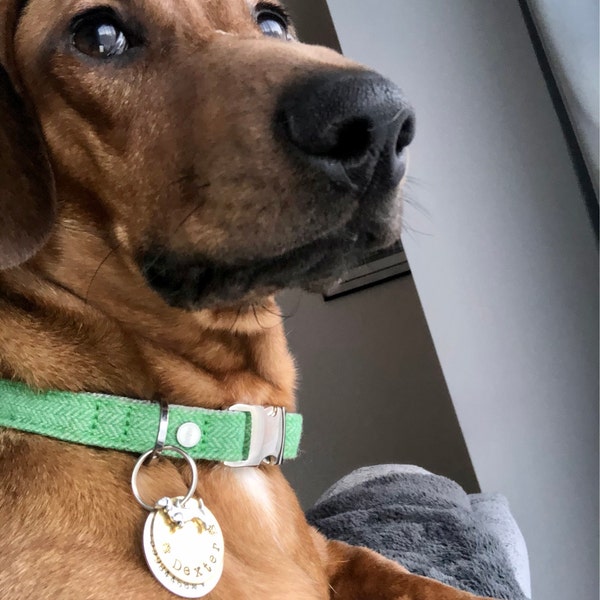 Dachshund Sausage Dog Hand Stamped Handmade Dog Tag #poshtags Collar ...