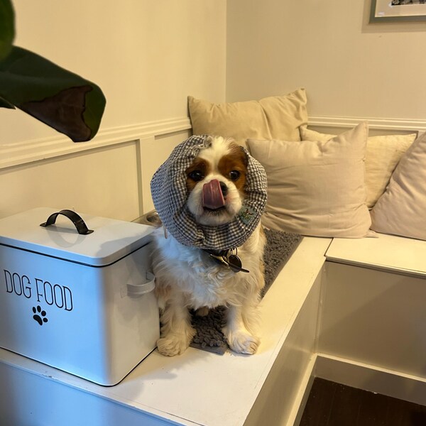 Adjustable Dog Snood: THANKSGIVING TURKEY TROT Snood to Protect Long ...