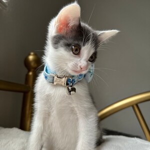 Custom Cat Collar Bell Bow in Blue Corduroy/velvet - Etsy