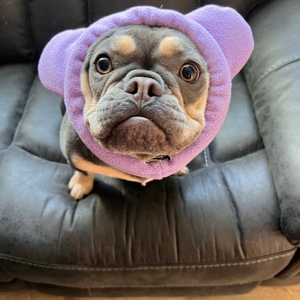 Frenchiestore Organic Dog Frenchie Ear Warmers | Purple - Etsy